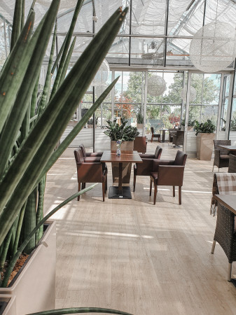 Rostock Gartencenter | Café Emil